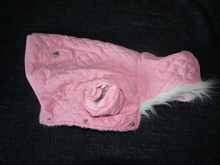 Одежда для собак мелких пород