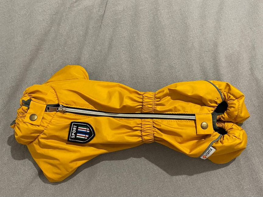 Комбинезон для таксы девочки