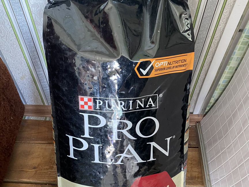 Корм для собак