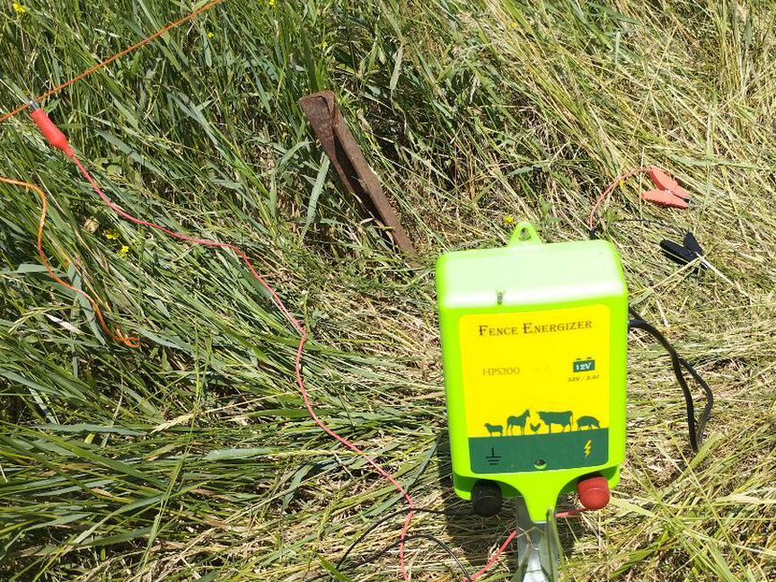 Электропастух