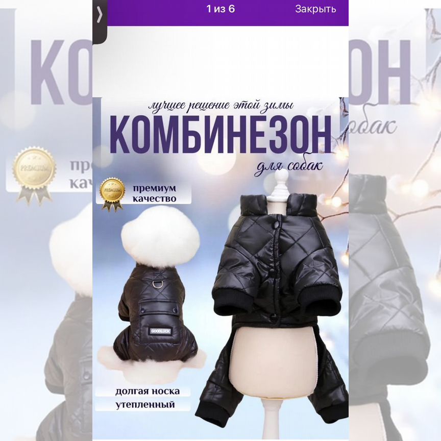 Одежда для собак