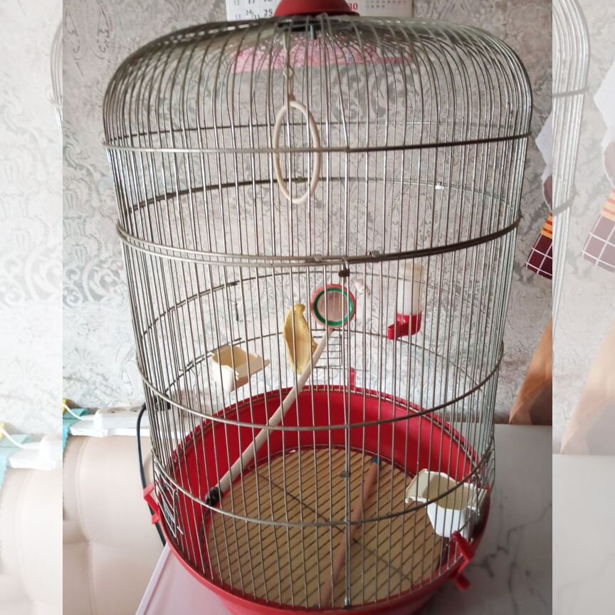 Клетка для птицы или птичек