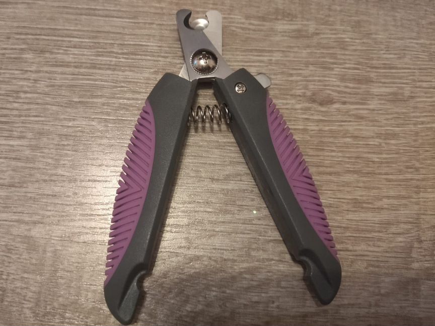 Принадлежности для собак