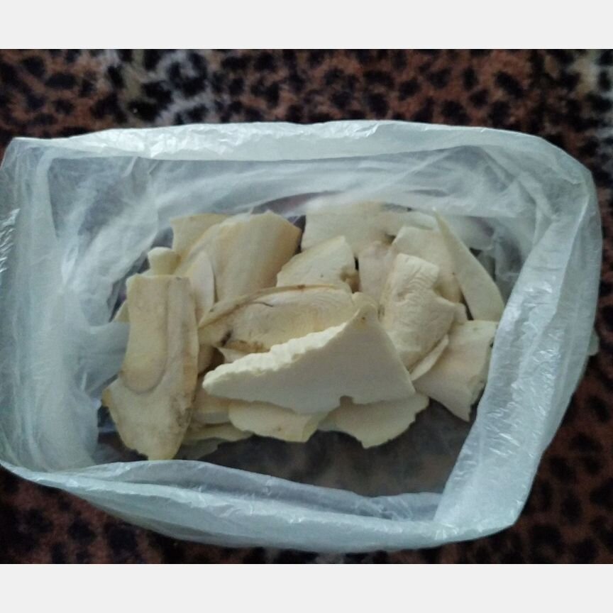 Сепия панцирь каракатицы, лом