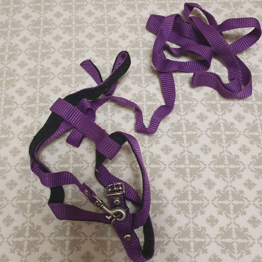 Шлейка для собаки или кошки