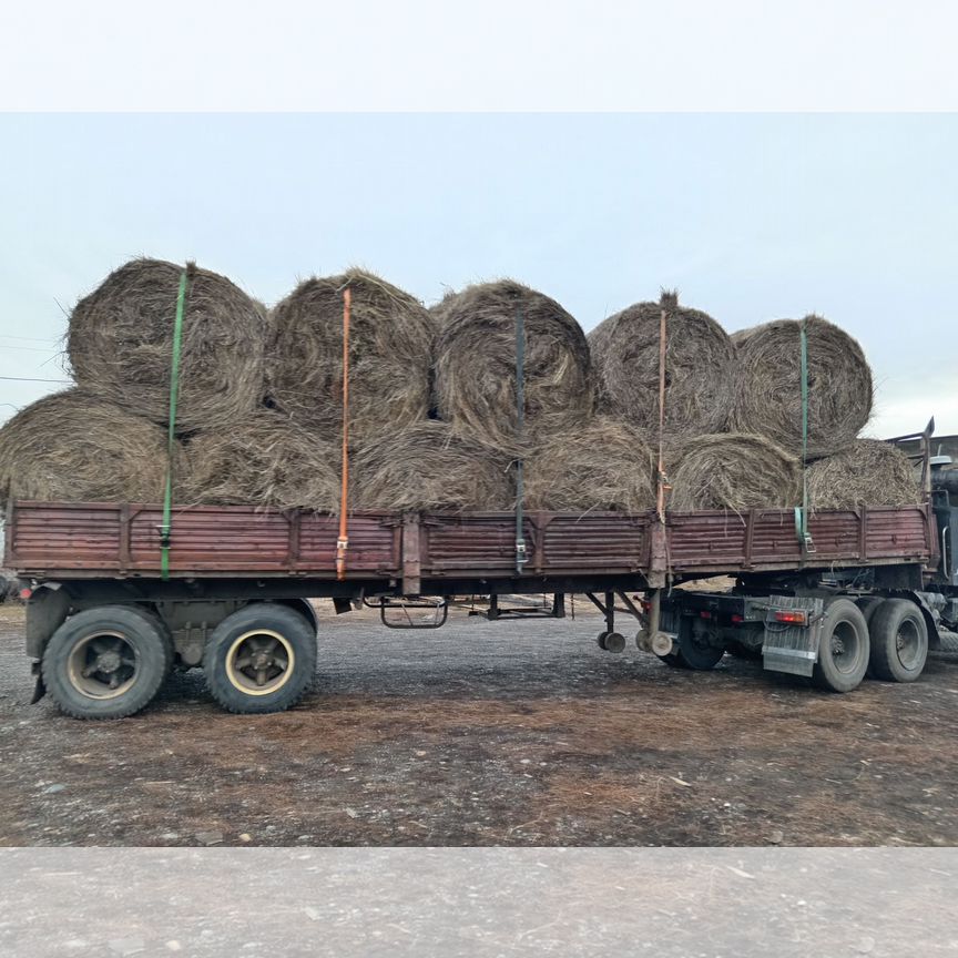 Сено в рулонах 300кг. 2025г.самовывоз