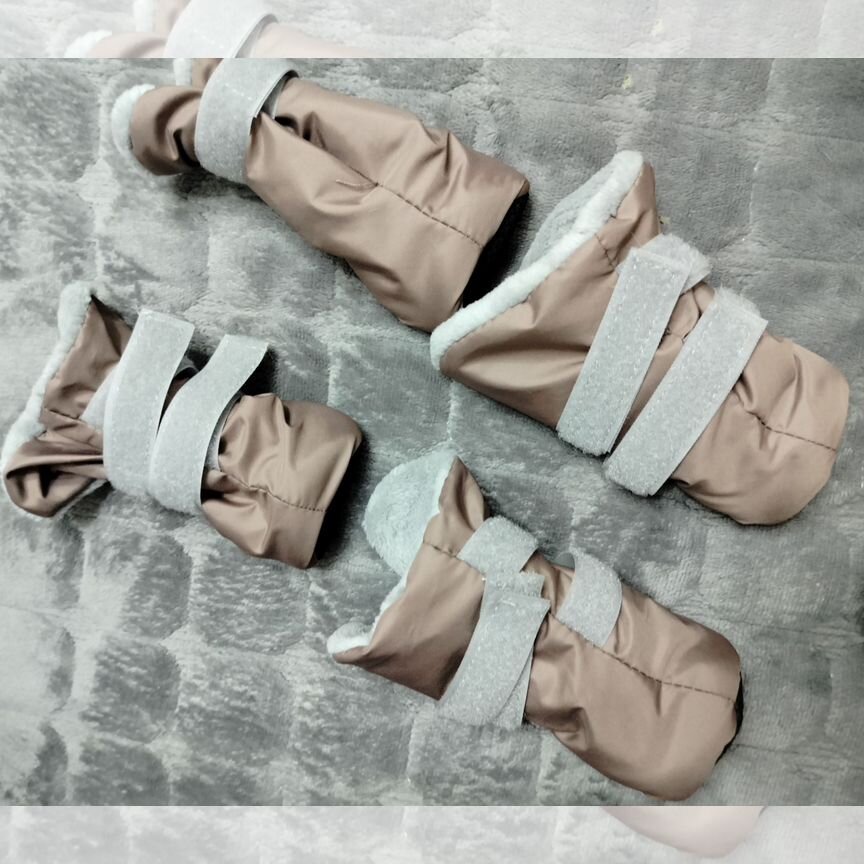 Обувь для собак