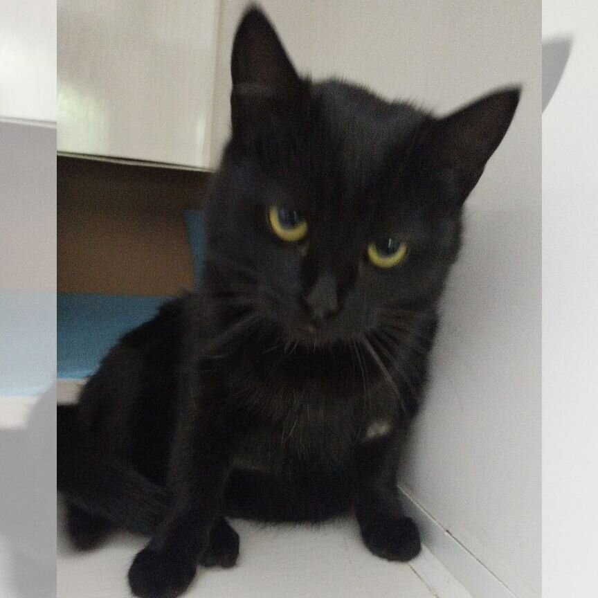 Ноченька,скоро опять холодная улица