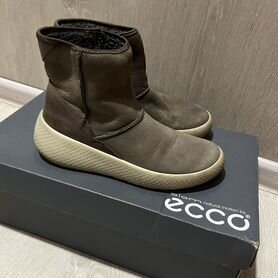 Ecco olx store
