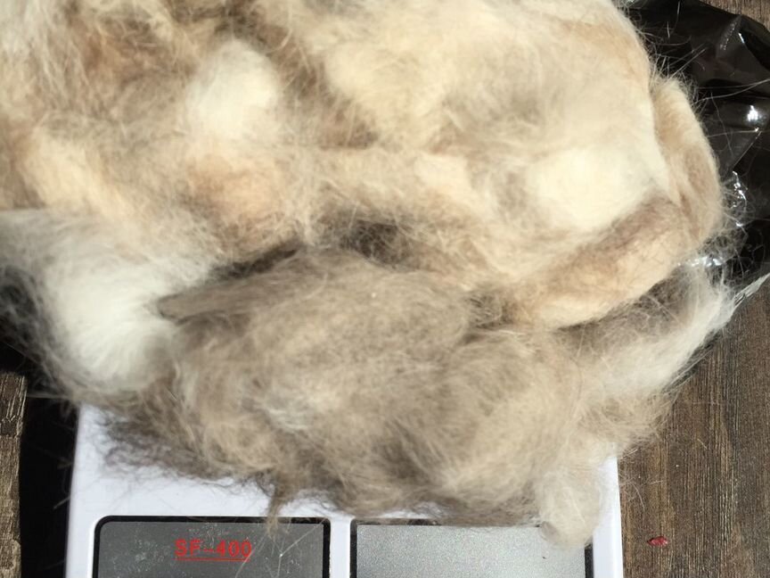 Кошачья шерсть