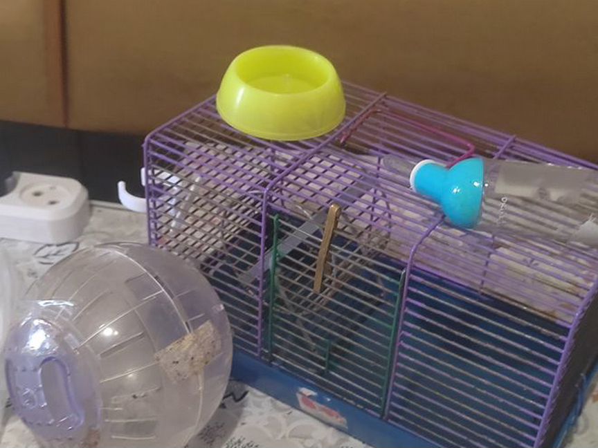 Клетка для грызунов