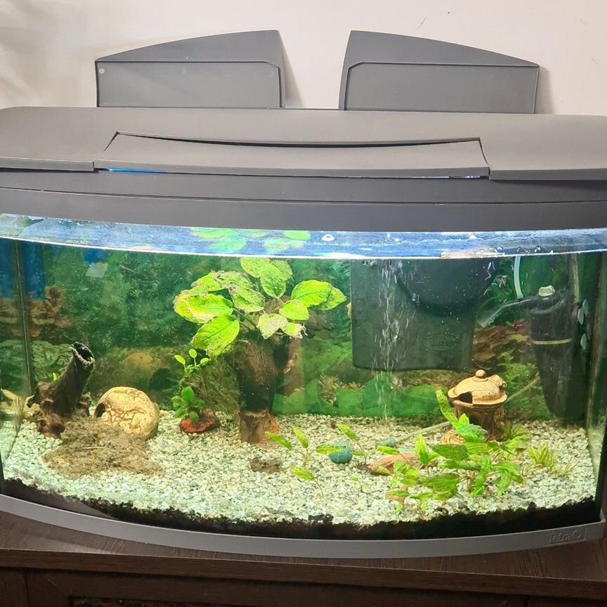 Аквариум Tetra AquaArt Evolution Line 100 л