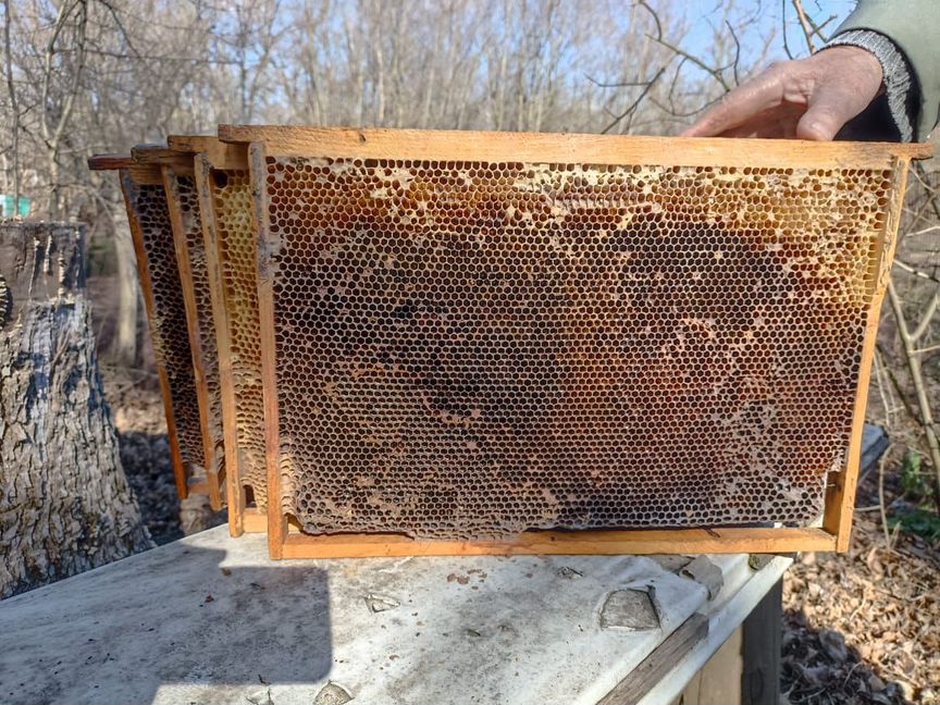 Продается суш для пчел и рамки