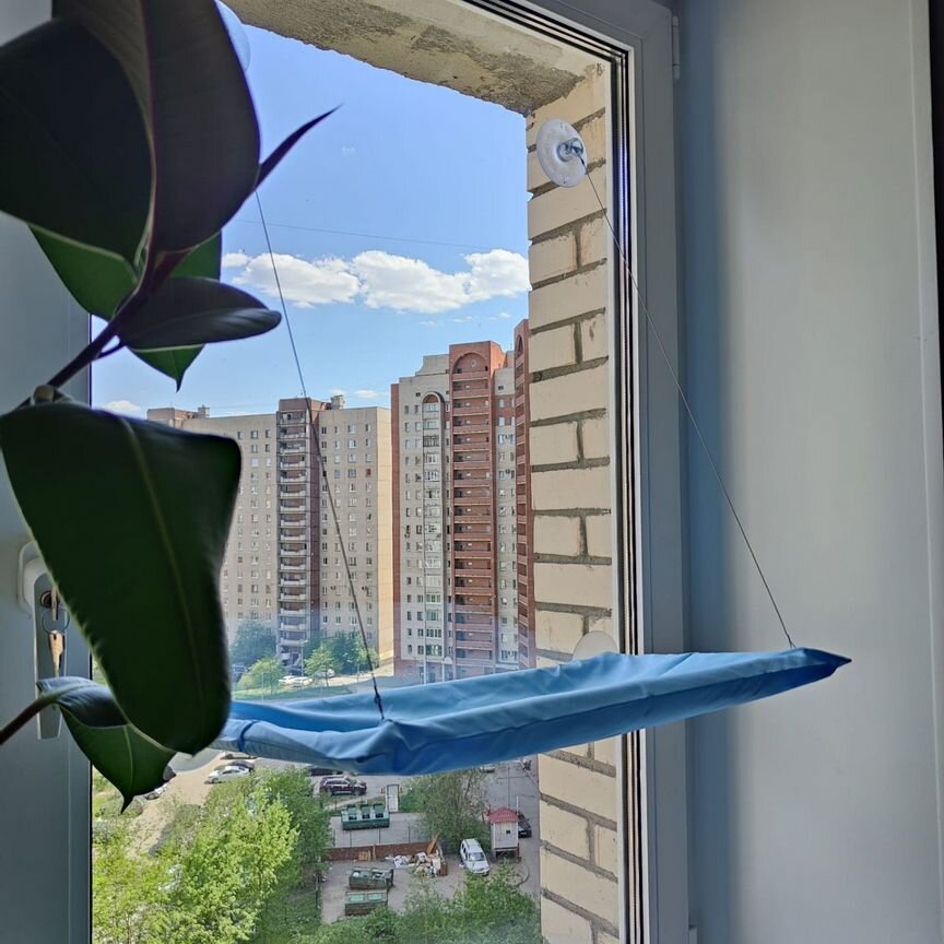 Гамак для кота на окно