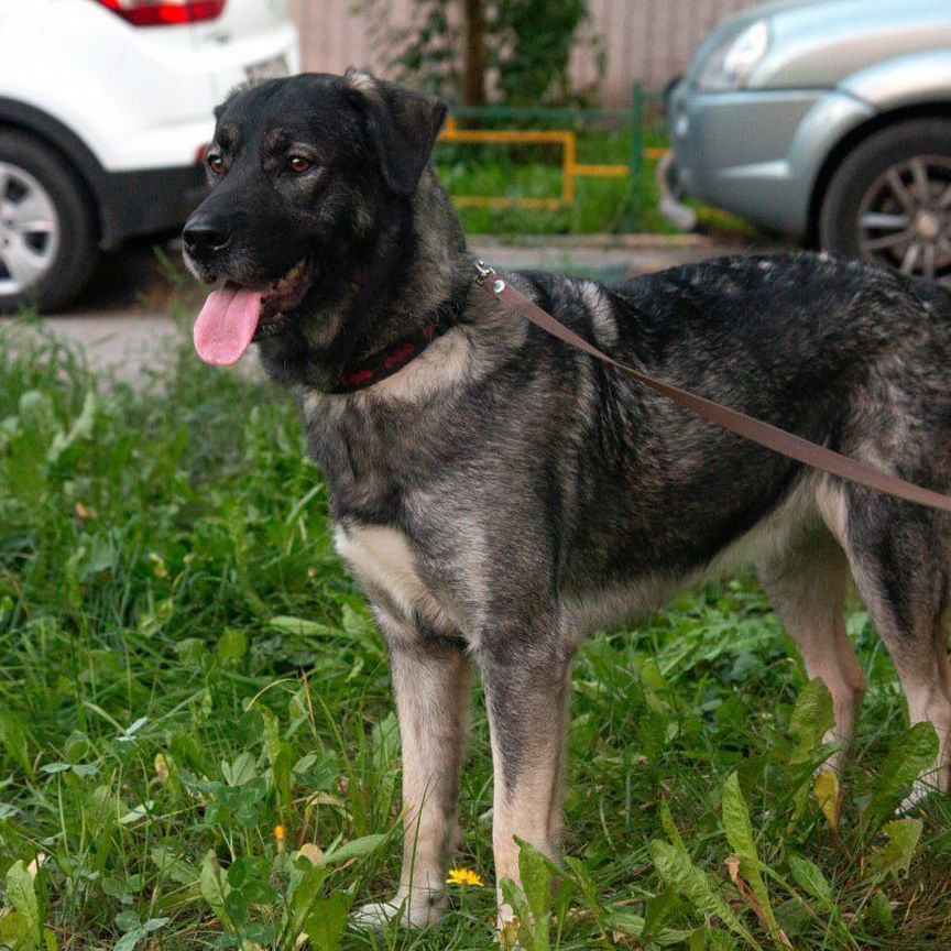 Соне нужен дом, над ней издевались