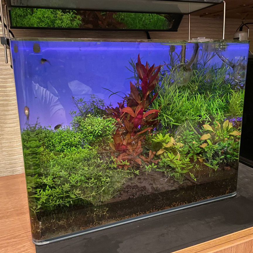 Готовая система аквариума
