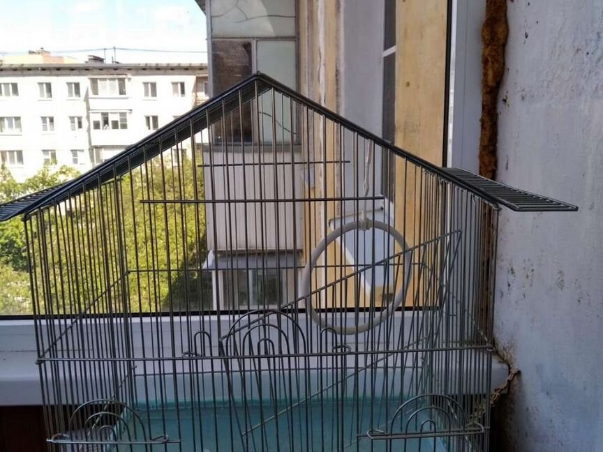 Клетка для птиц бу