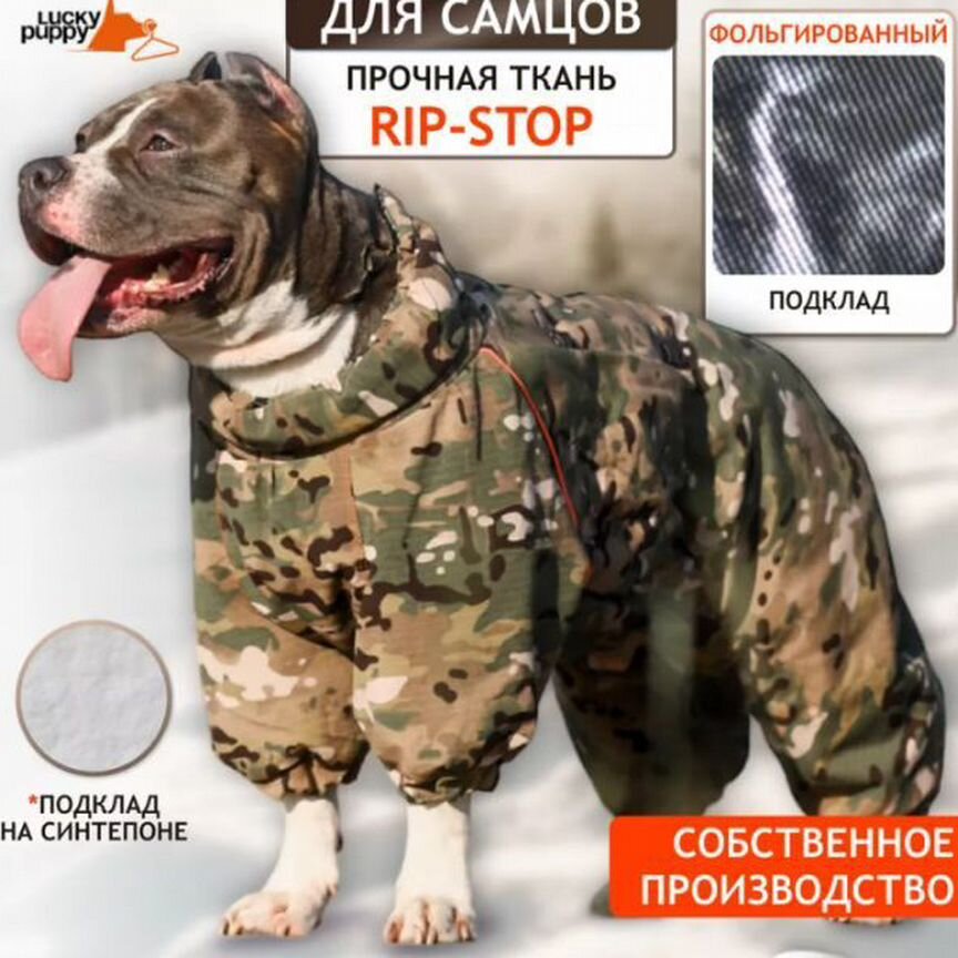 Новый зимний комбинезон для собаки мальчика