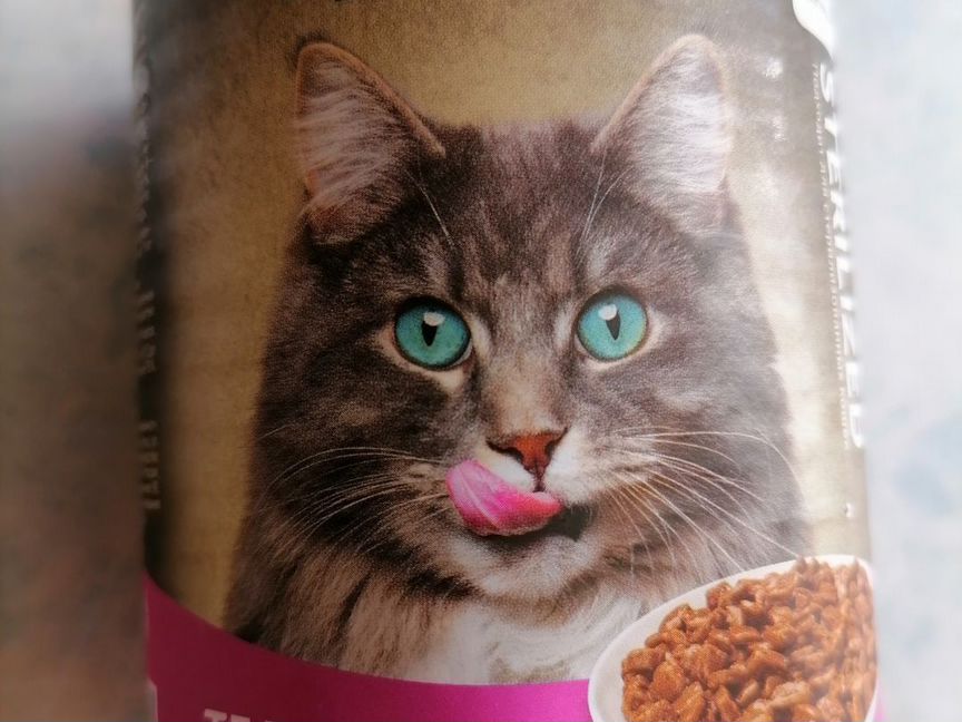 Корм для кошек