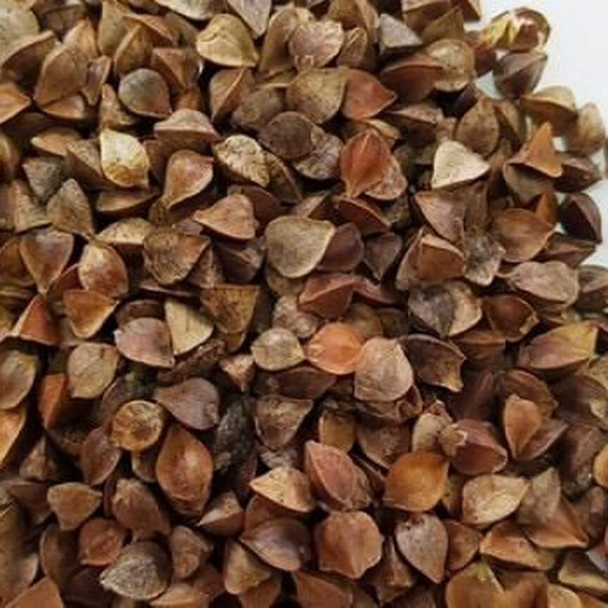 Гречка сортировонная