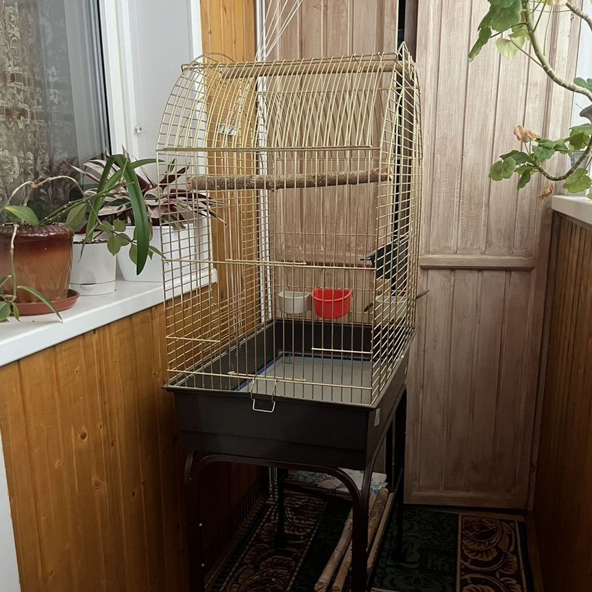 Клетка для крупного попугая на подставке
