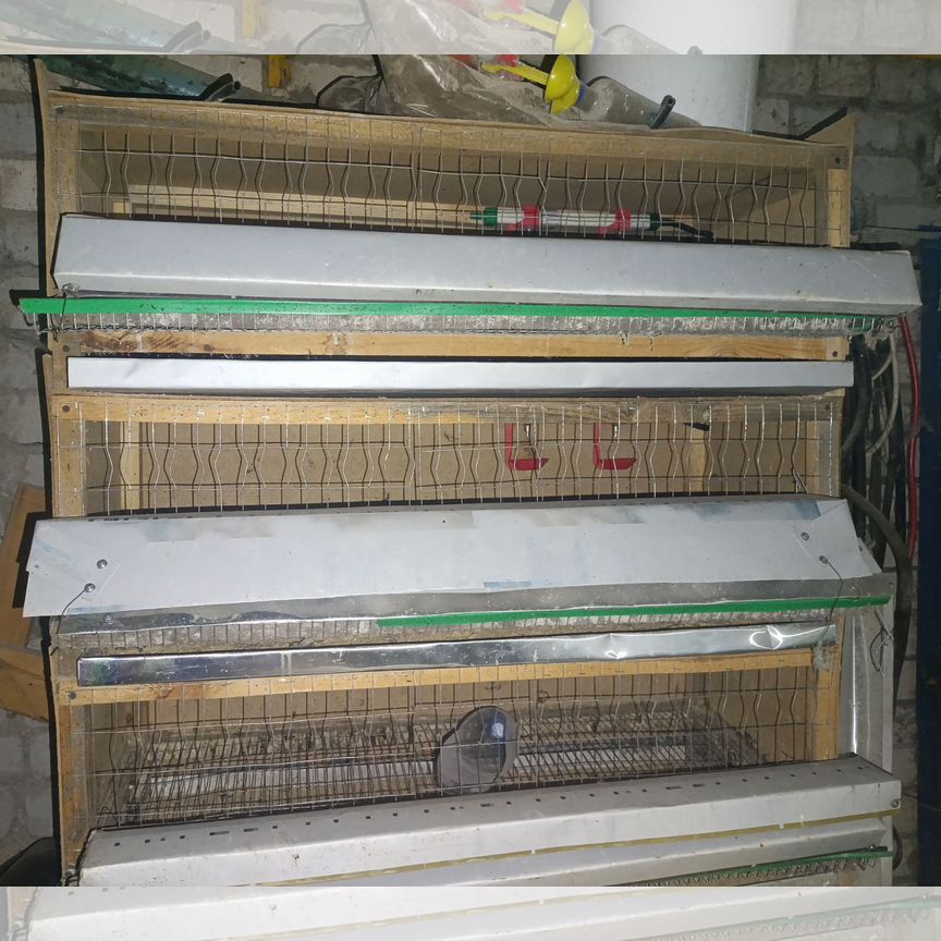 Клетка для перепёлок и цыплят