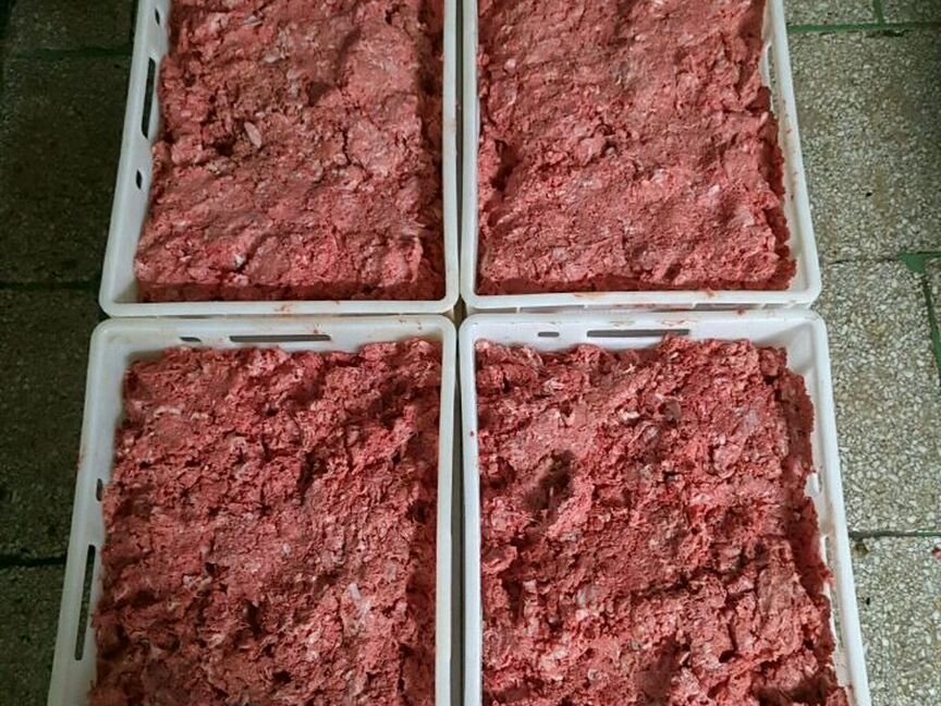 Куриный фарш для животных