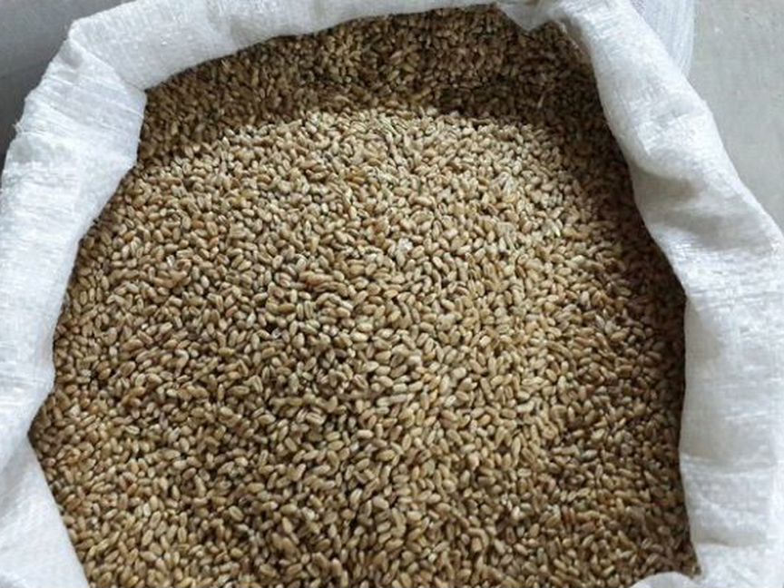 Пшеница в мешках от производителя