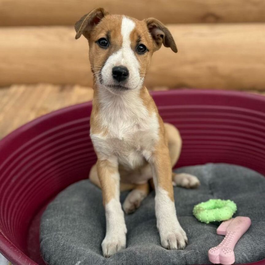 Пристраиваются две девчушки