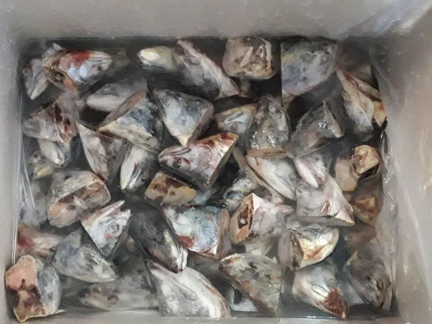 Рыбные отходы