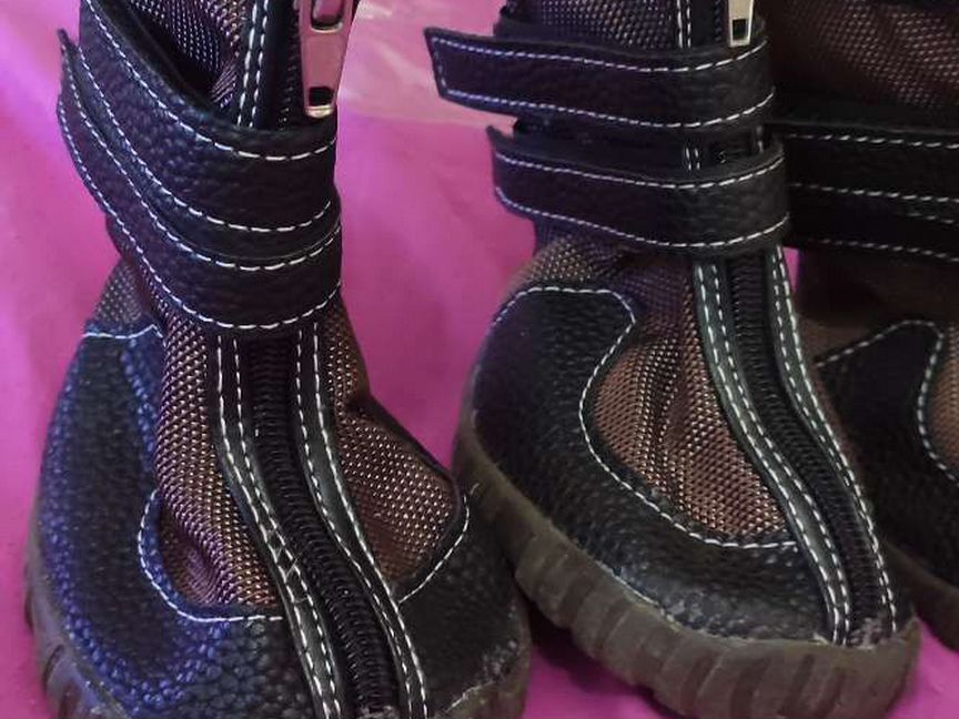 Ботинки для крупной собаки