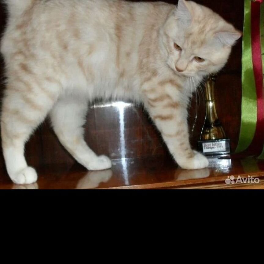 Ждёт приглашения на аязку