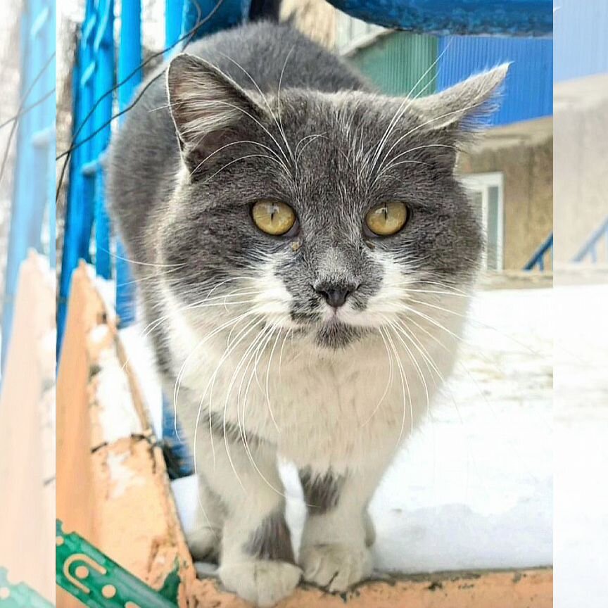 Бориска ответственным людям