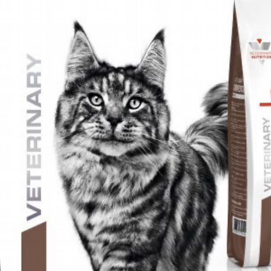 Сухой корм для кошек royal canin gastro