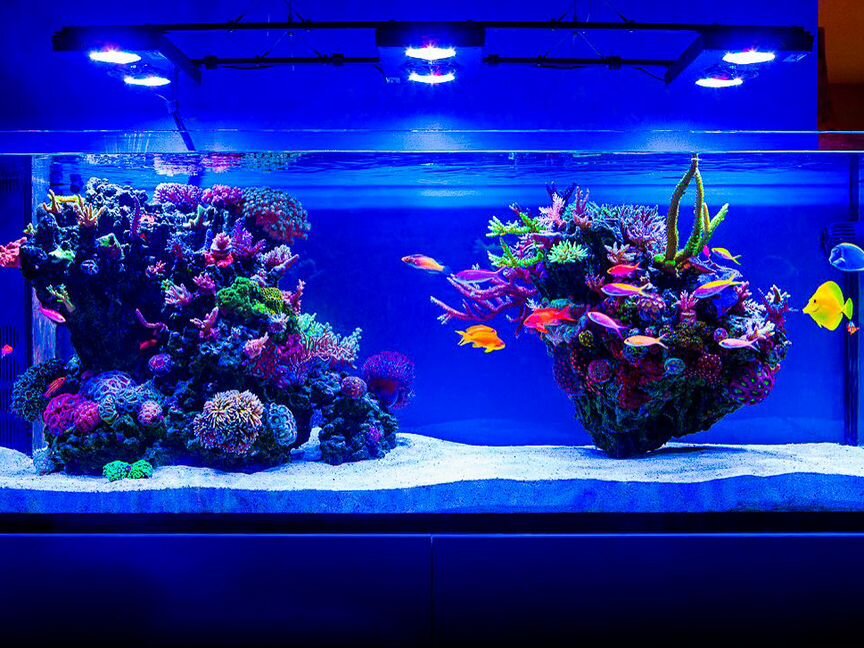 Морской аквариум 540 л