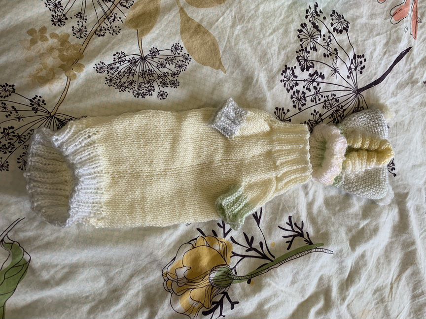 Костюм для собаки