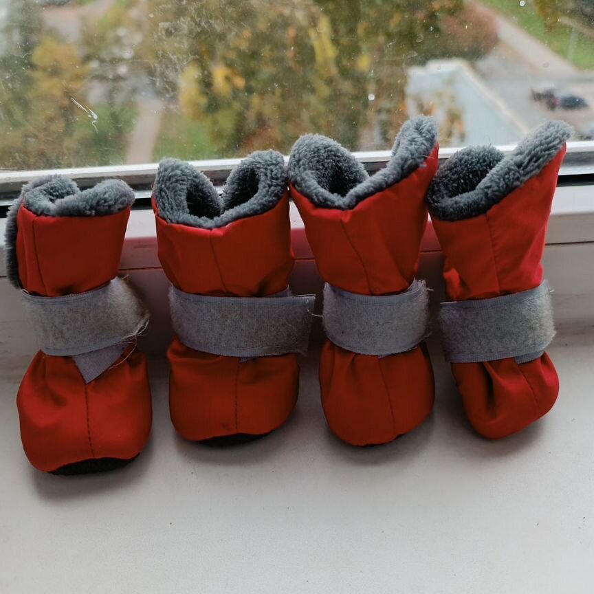 Обувь для маленьких собак