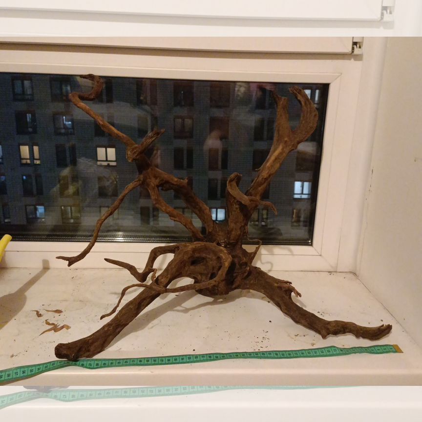 Коряга в аквариум/террариум натуральная