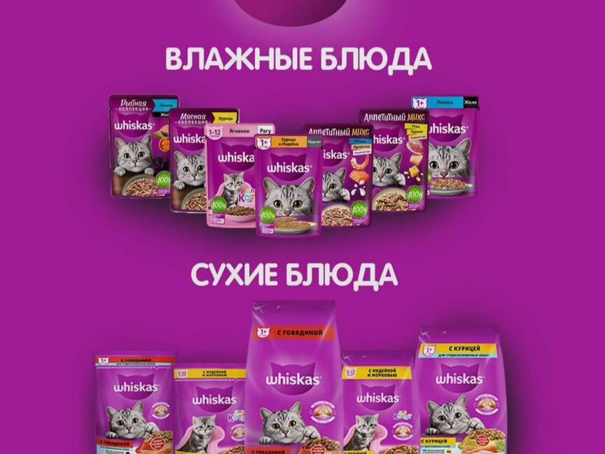 Корм для кошек и собак паучи