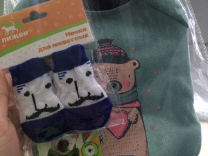 Одежда для кота или собак