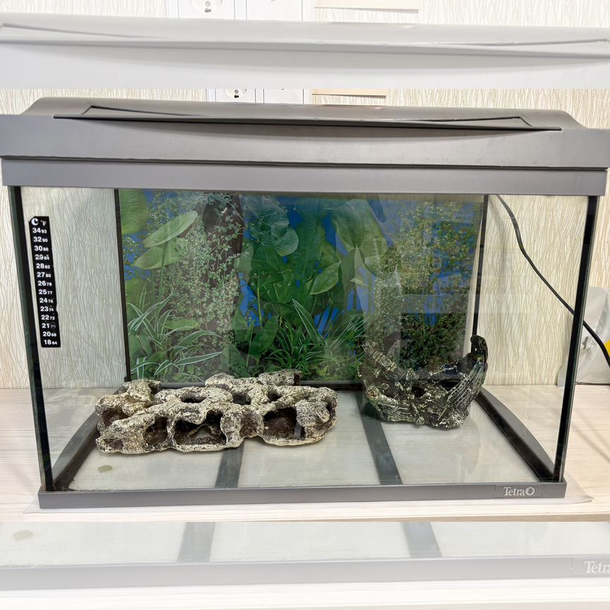 Аквариум на 60 литров