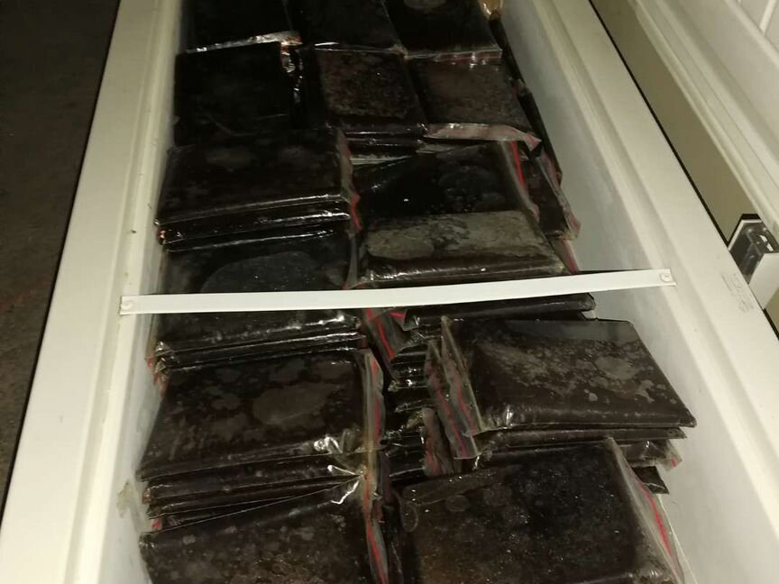 Корм для аквариумных рыб