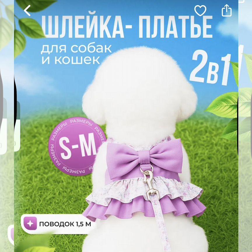 Шлейка для маленькой собаки