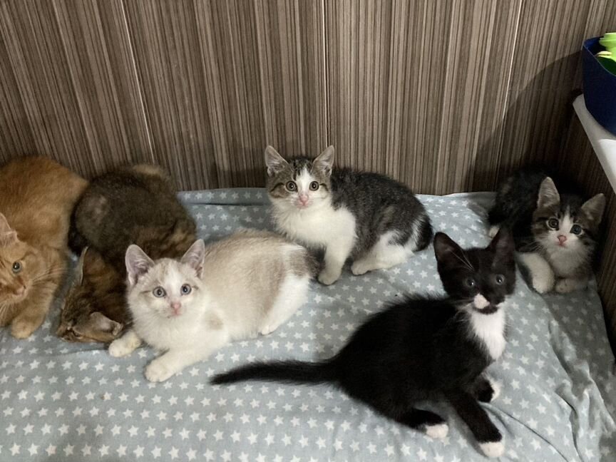 Счастливые малыши