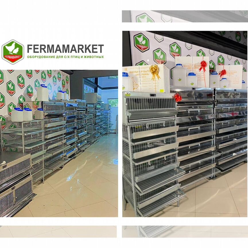 Клетки для перепелов Пионерское