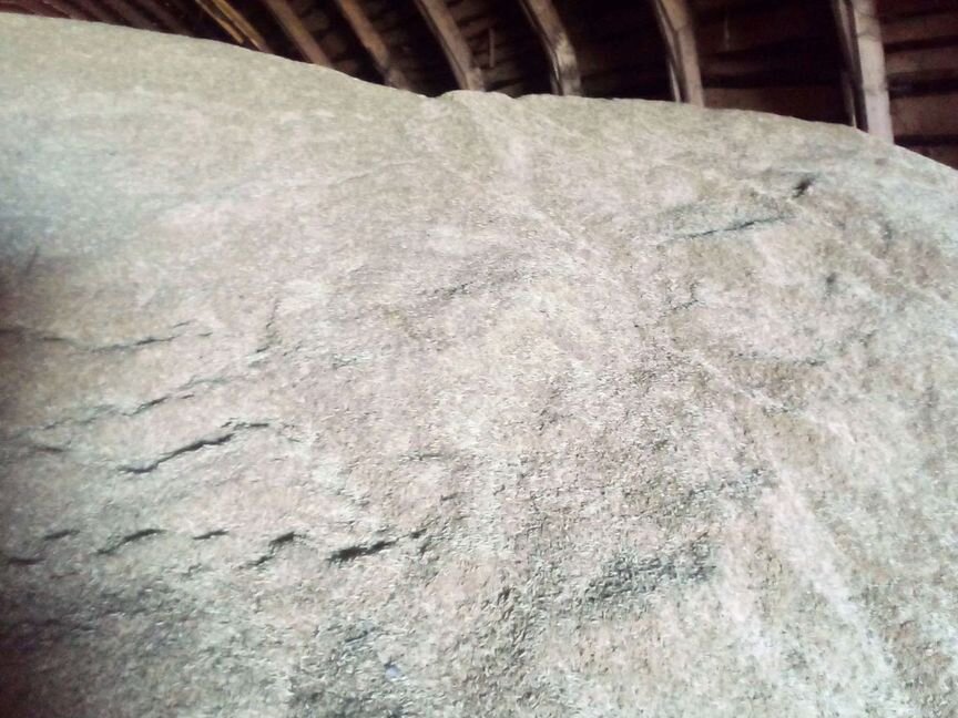 Ячмень яровой, Семечко корма