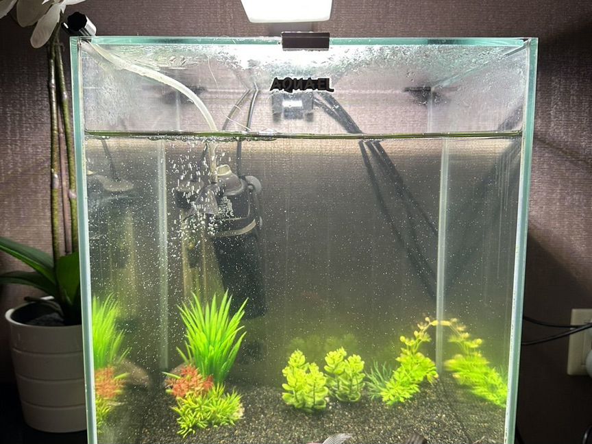 Аквариум aquael 30