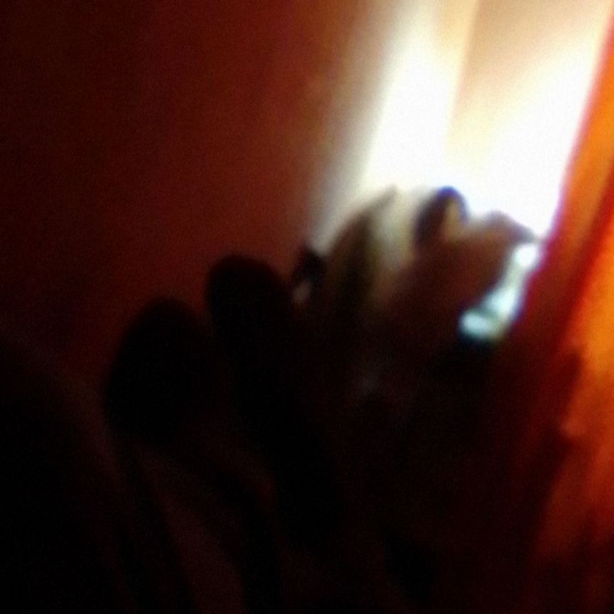 Джек-рассел-терьер, щенок