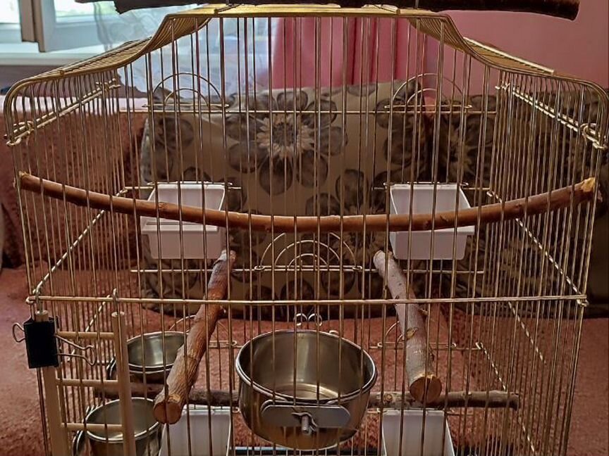Продам клетку для среднего попугая