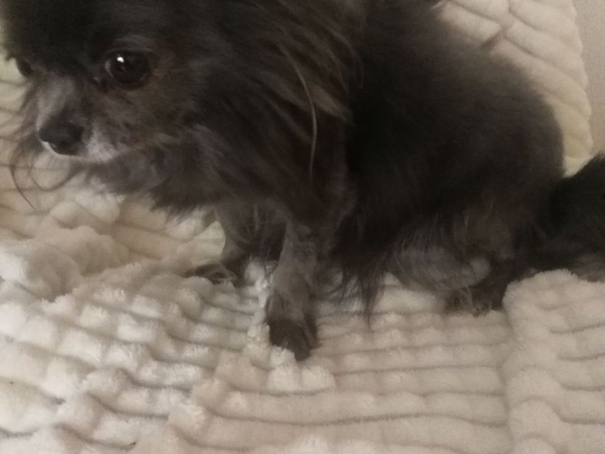 Красивый мальчик